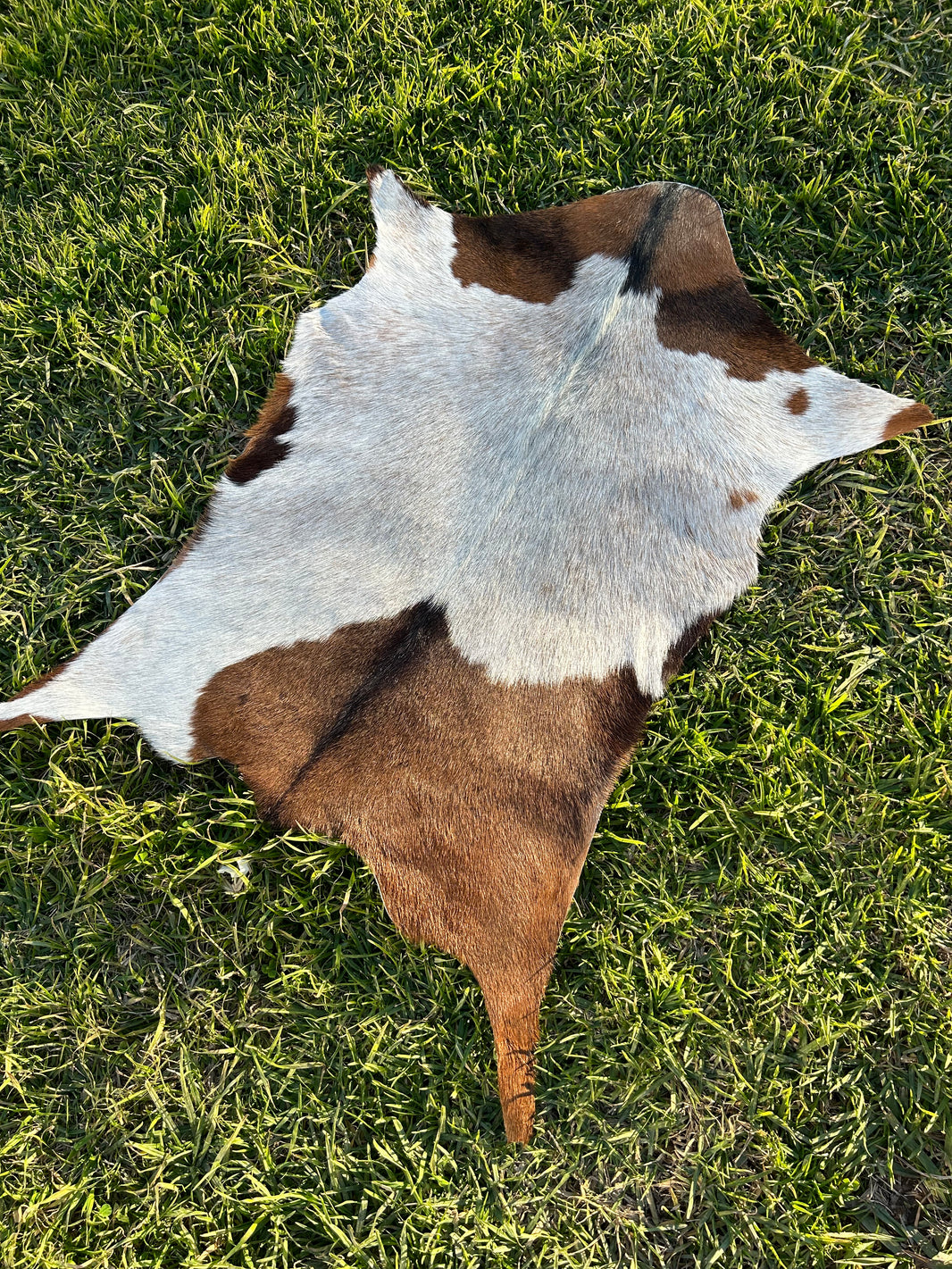 Goat Hides – hunterandhide