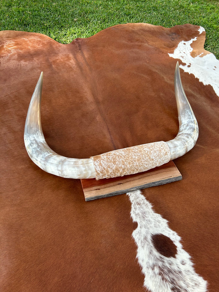 Mounted Horns – hunterandhide