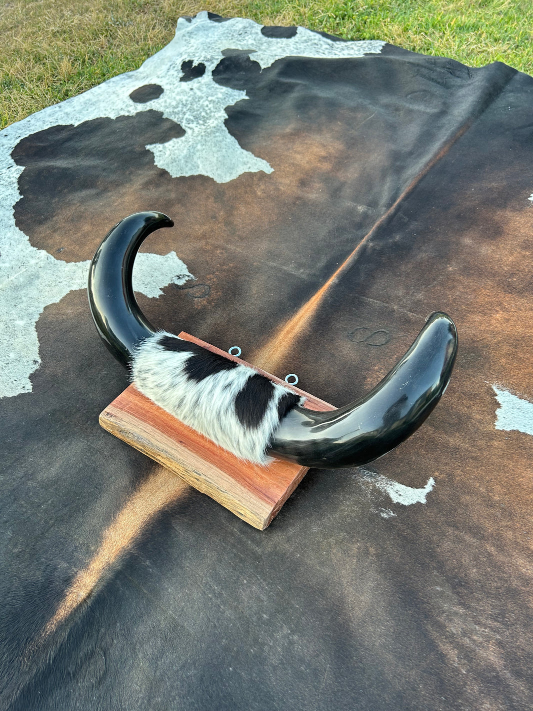 Mounted Horns – hunterandhide